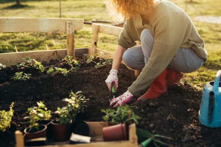 5 Common Gardening Injuries and How to Prevent Them