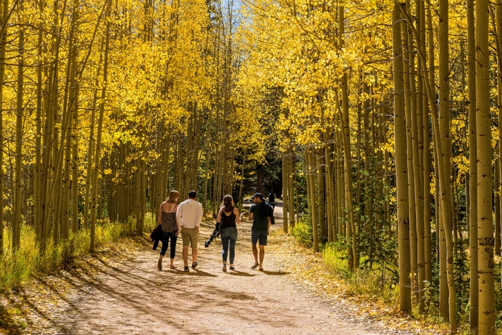 Best Fall Leaf Peeping Destinations Near Meeker